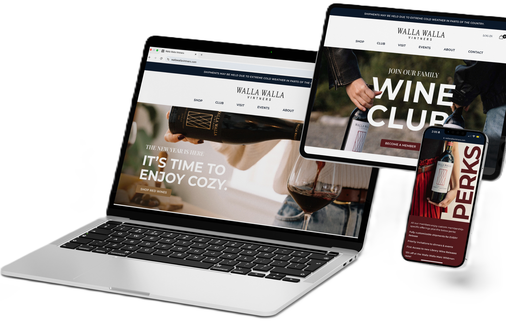 Cyber Sandwich - Innovative Business Solutions